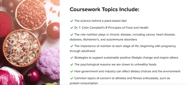 Plant-Based Nutrition Certificate Review: T. Colin Campbell Course - Vegan Anj